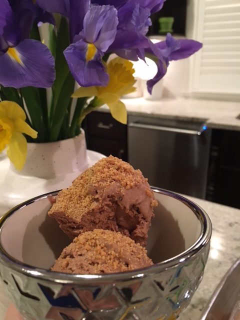 Homemade Nutella Ice Cream | Eat the revolution